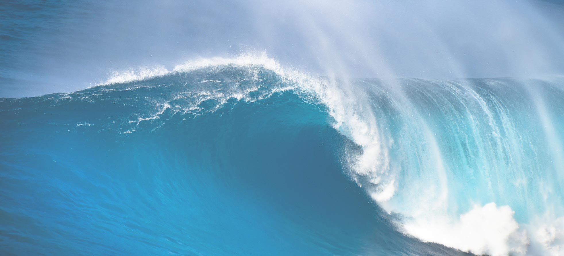 About - Avalyn Pharma Inc